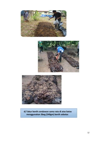 SOP CENDAWAN VOLVARIELLA | PDF