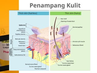 Prosedur pemberian Obat (IC, IM, SC, IV).pptx