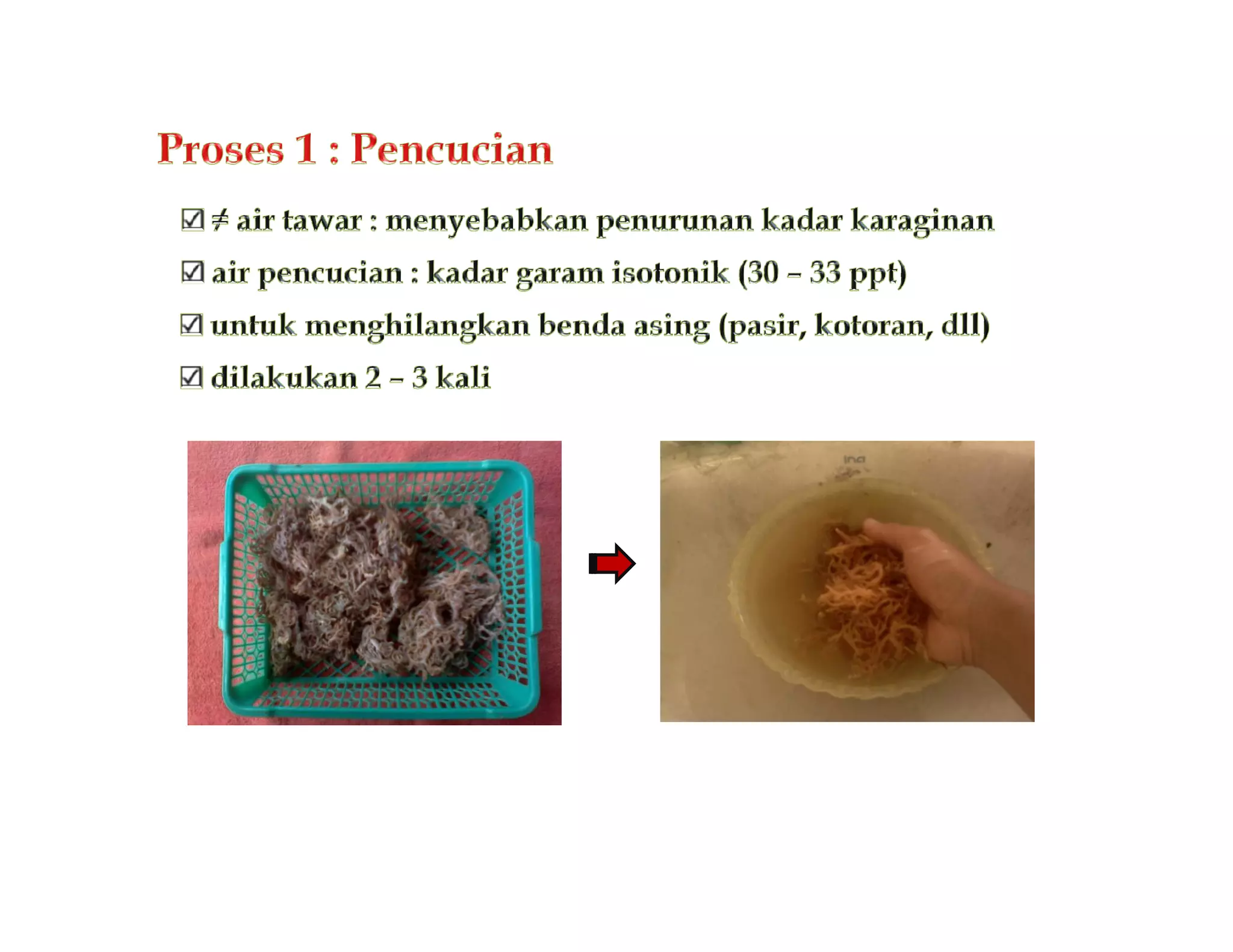 Prosedur pembuatan karaginan metode press skala laboratorium | PDF