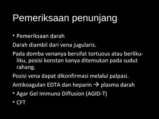 Prosedur pemeriksaan domba | PPT