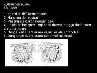 Prosedur pemeriksaan domba | PPT
