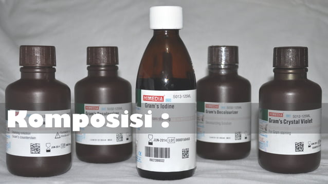 Prosedur Pewarnaan Gram dari Gram Staining Kit HiMedia K001 | PPT