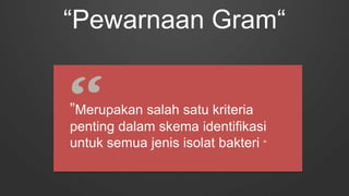 Prosedur pewarnaan gram Himedia | PPTX