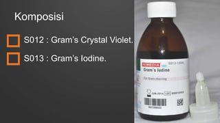 Prosedur pewarnaan gram Himedia | PPTX