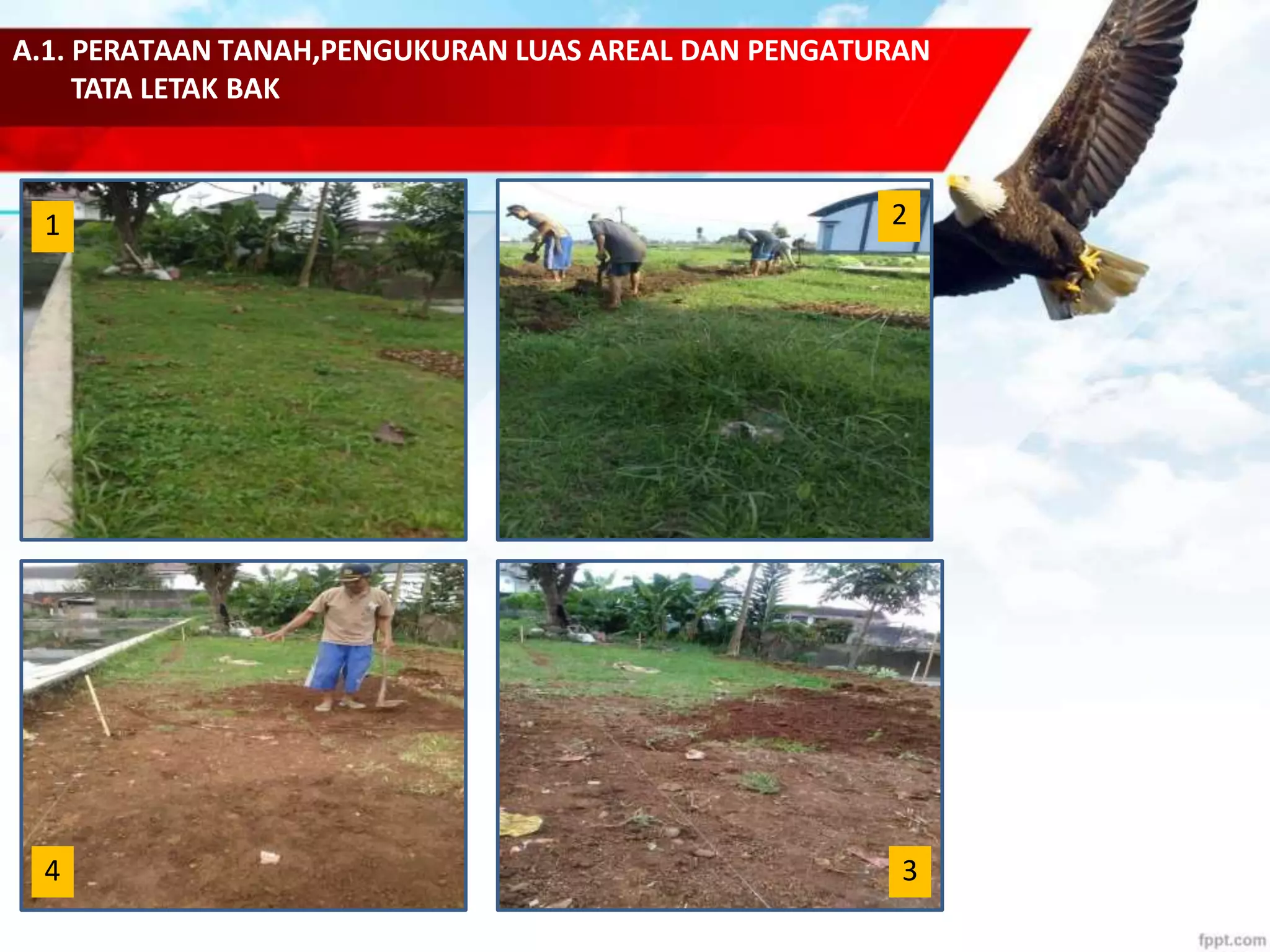 PROSEDUR TAHAPAN PEMBUATAN BAK TERPAL BULAT.pptx