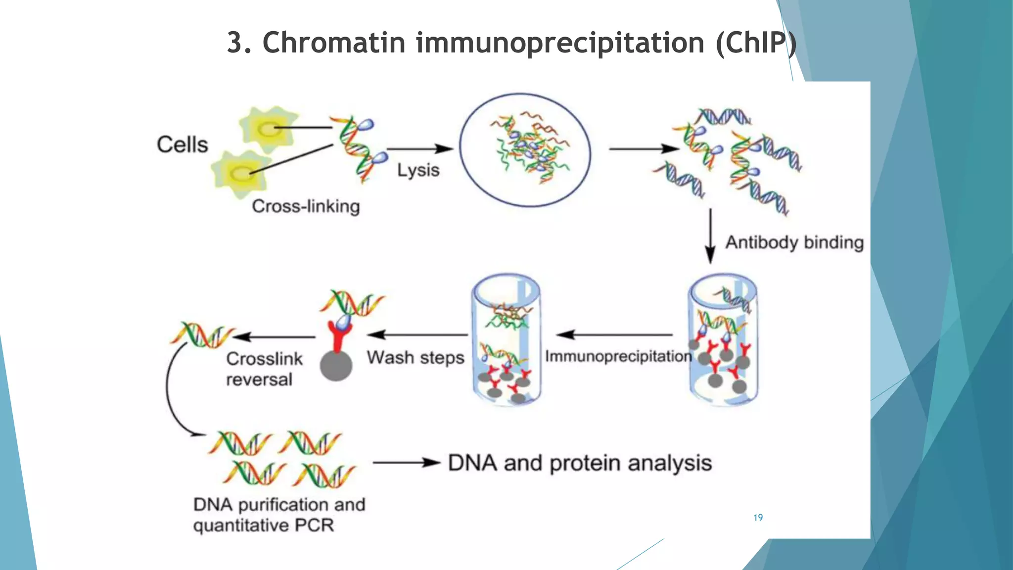 Protein sequencing methods | PPTX