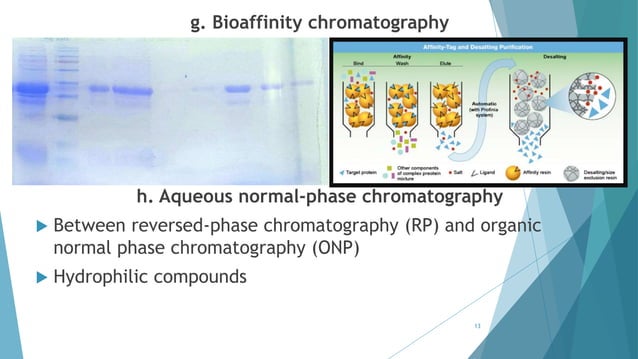 Protein sequencing methods | PPTX | Chemistry | Science