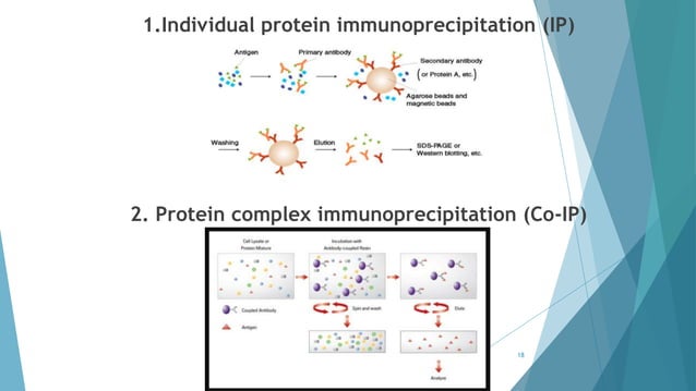 Protein sequencing methods | PPTX | Chemistry | Science