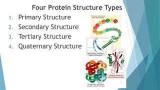 Protein sequencing methods | PPTX