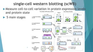 Protein sequencing methods | PPTX