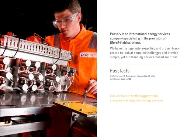 Proserv Company Overview | PDF