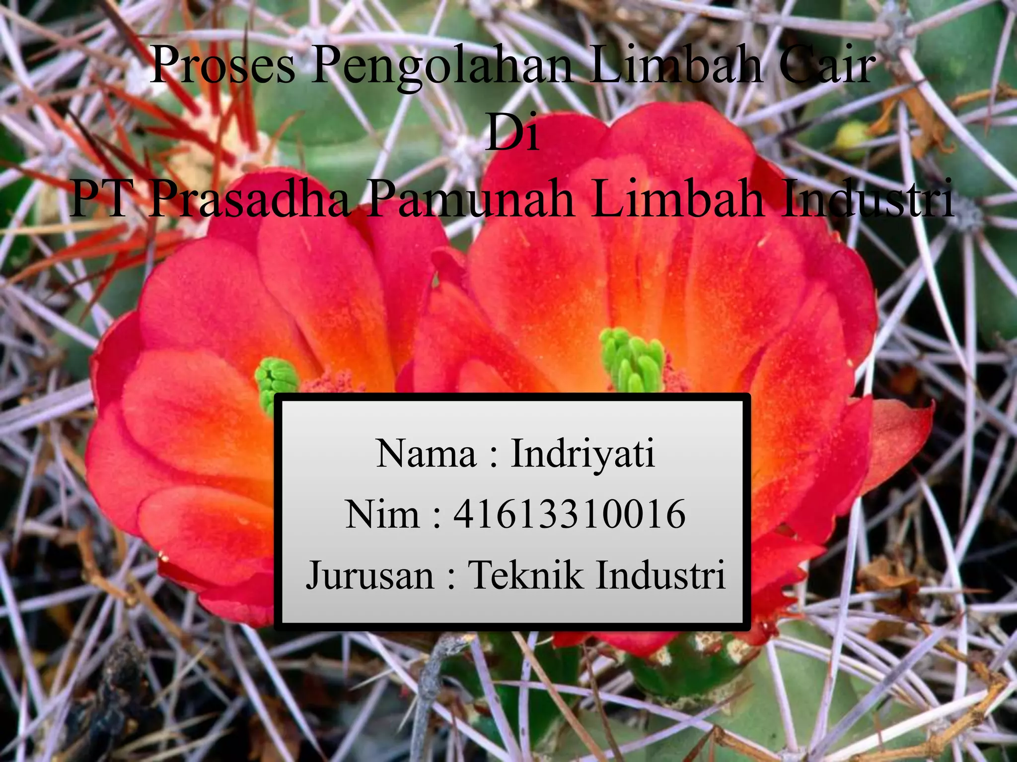 Proses pengolahan limbah cair di pt.ppli