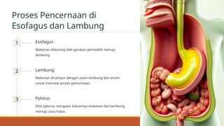 Proses-Pencernaan-Makanan-dan-Sistem-Pencernaan.pptx