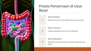Proses-Pencernaan-Makanan-dan-Sistem-Pencernaan.pptx