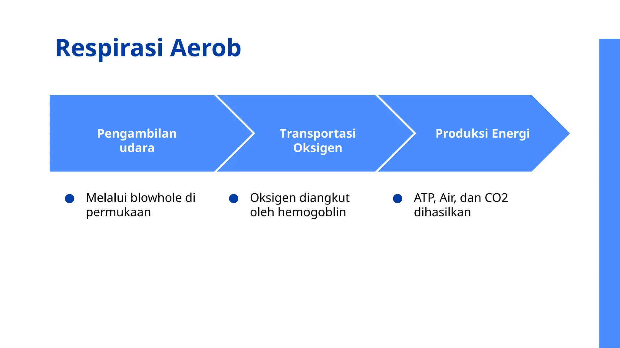proses aerob dan anaerob paus_tugas 2_.pptx