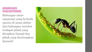 Proses biogeokimia dan interaksi dalam ekosistem | PPTX