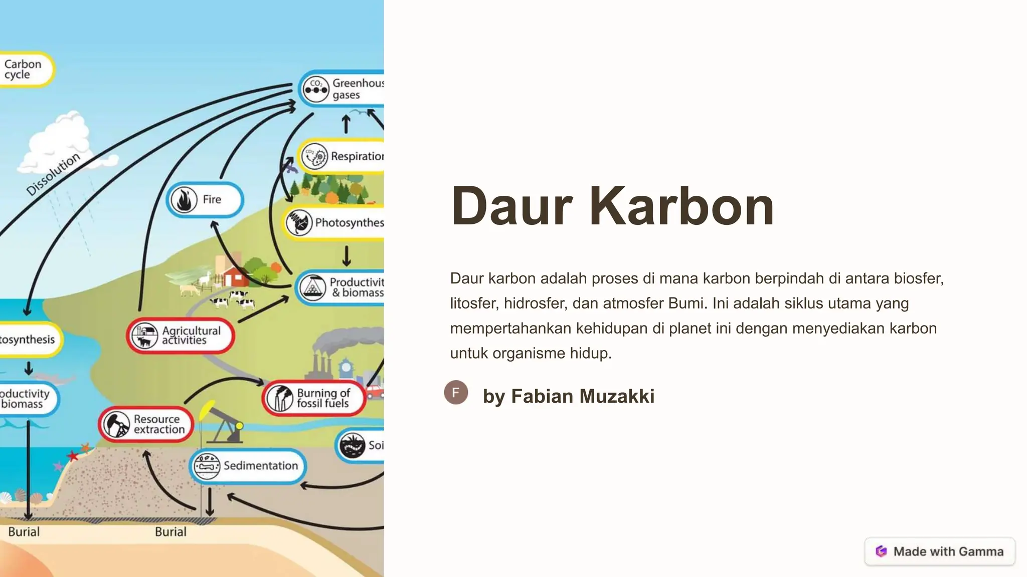 Proses Daur Karbon Untuk Mempertahankan Kehidupan | PPT