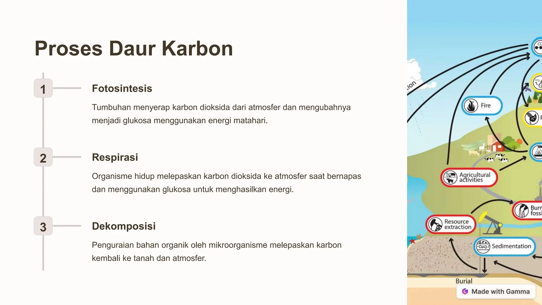 Proses Daur Karbon Untuk Mempertahankan Kehidupan | PPTX