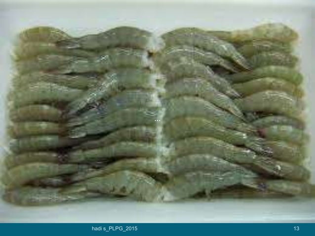 Proses eksport udang | PPT