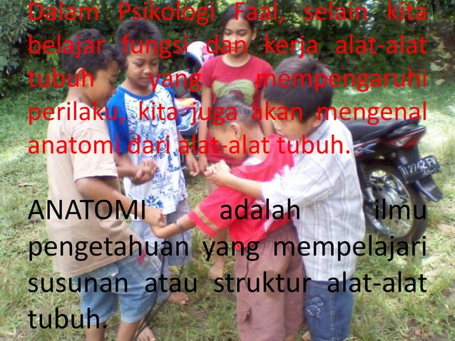 Proses faali dalam kegiatan belajar mata kuliah ilmu jiwa umum stain ...