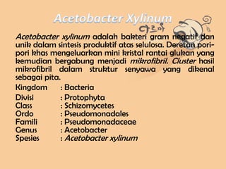 Proses fermentasi kombucha tea mengunakan acetobacter | PPTX