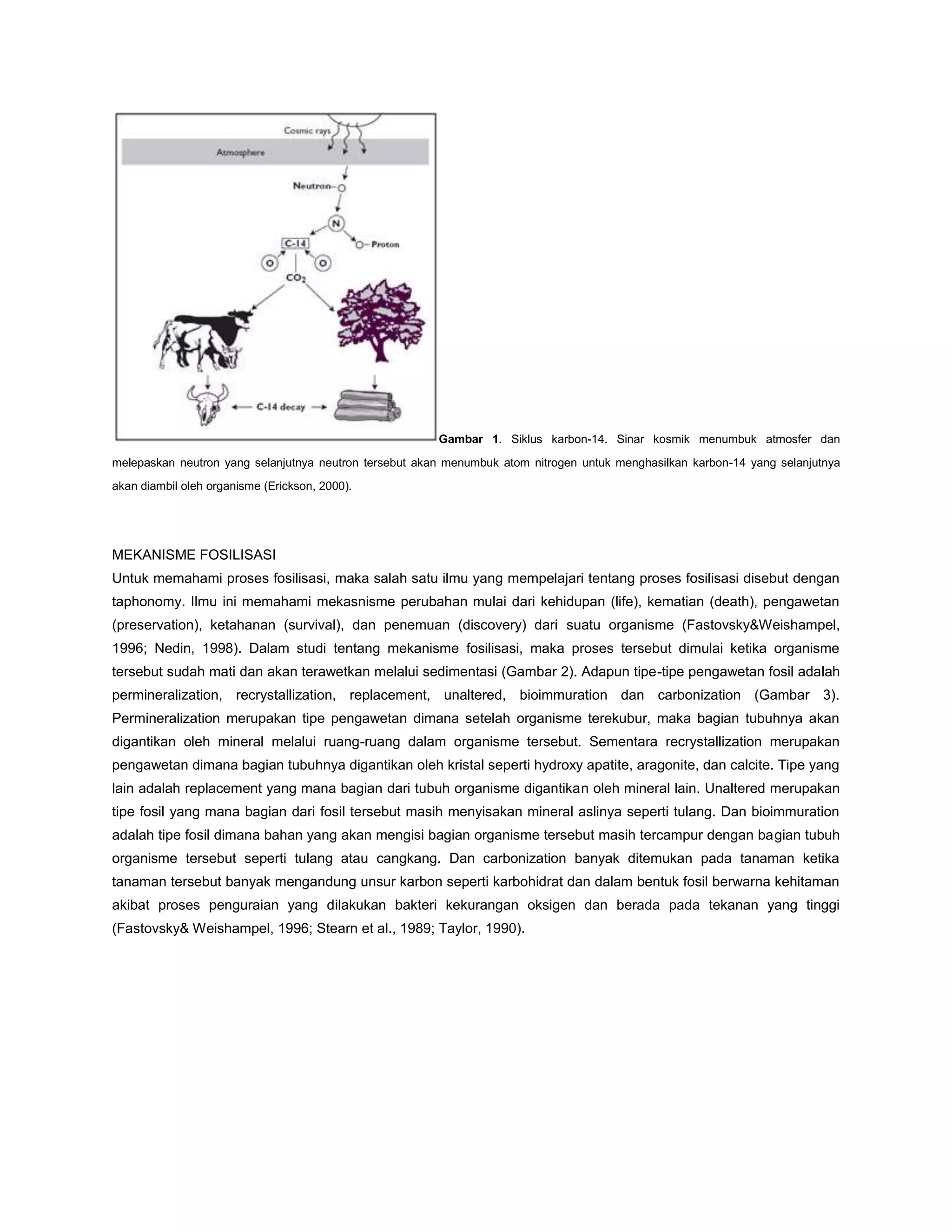 Proses fosilisasi pada mahluk hidup | DOCX