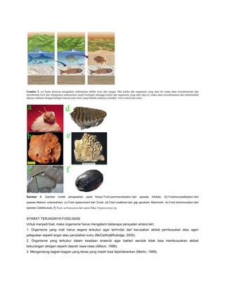 Proses fosilisasi pada mahluk hidup | DOCX