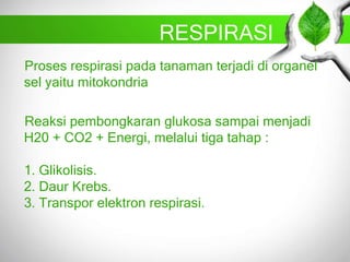 PROSES FOTOSINTESIS & RESPIRASI PADA TUMBUHAN FIKS-1.ppt