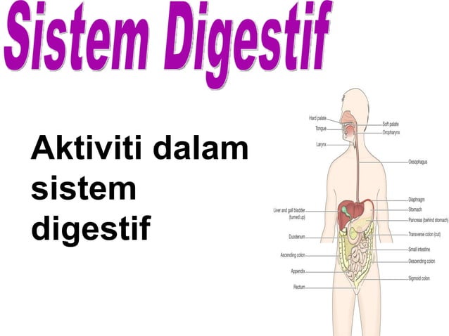 Proses ingesi | PPT