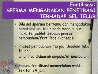 Proses kehamilan | PPTX