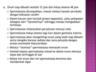 Proses kehamilan | PPTX