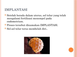 materi tentang konsepsi (PROSES KEHAMILAN).pptx