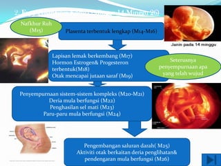 Proses kejadian manusia | PPTX