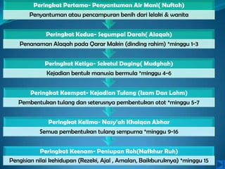 Proses kejadian manusia | PPTX