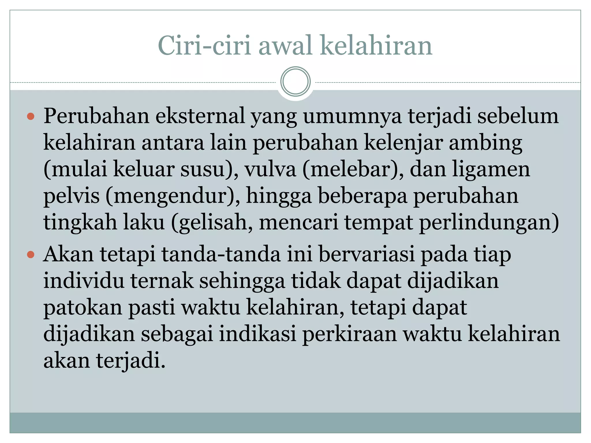 Proses Kelahiran Pada Sapi.pptx