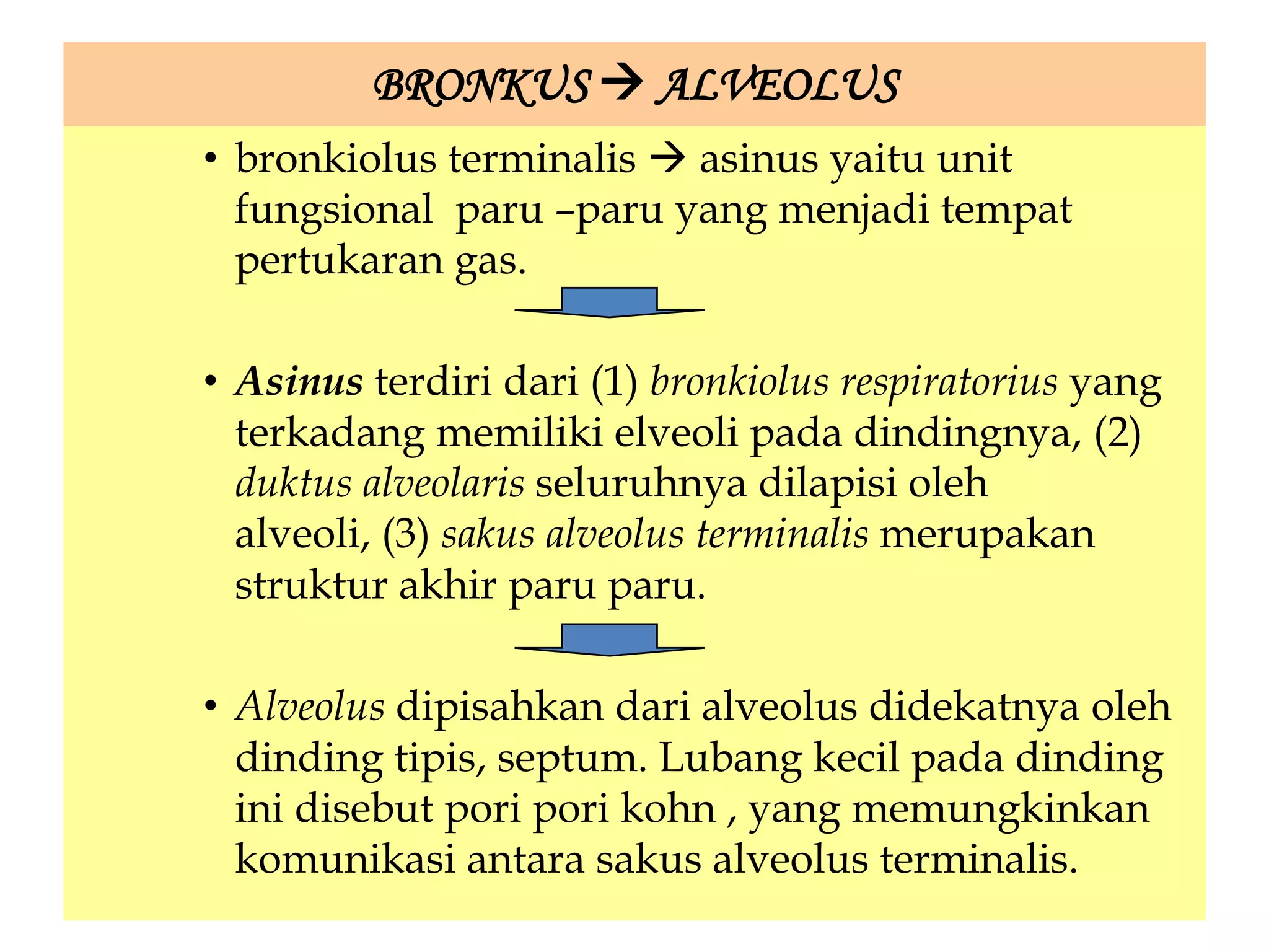 Proses keperawatan asma bronkeale pada anak | PPTX