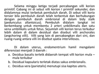 Proses Keperawatan Klien Selama Periode Hamil dan Penyakit.ppt