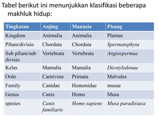 Proses klasifikasi | PPTX