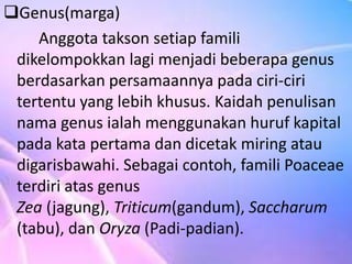 Proses klasifikasi | PPTX
