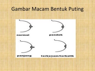 PROSES LAKTASI DAN MENYUSUI | PPTX