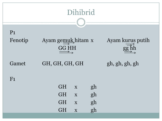 Proses Monohibrid, Intermedia, Dihibrid | PPTX