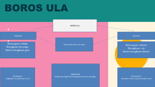 Proses pamansayan do Boros Imbulaian Boros Ngaran om Boros Ula BKD3023 | PDF