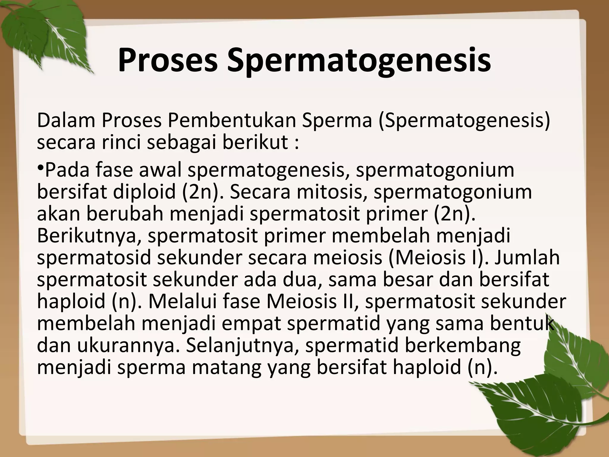 Proses pembentukan sperma (spermatogenesis) kelompok 1 | PPT