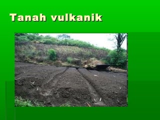 Proses pembentukan tanah | PPT