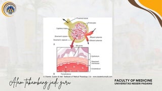 proses pembentukan urine dan komposisis urin .pptx