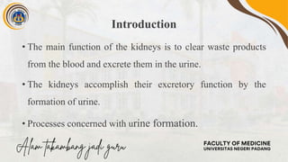 proses pembentukan urine dan komposisis urin .pptx