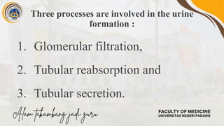 proses pembentukan urine dan komposisis urin .pptx
