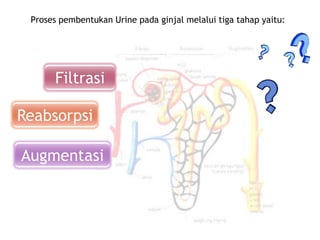 Proses pembentukan urine | PPTX