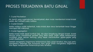 PROSES PEMBENTUKAN URINE.pptx