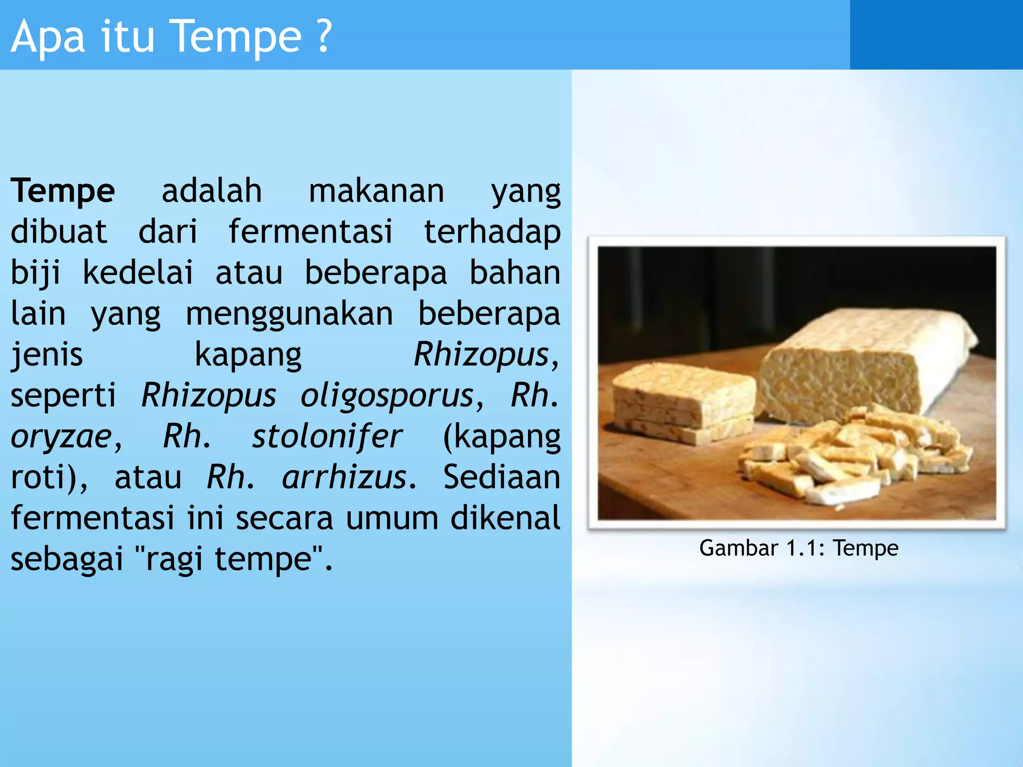 Proses Pembuatan Tempe | PPTX